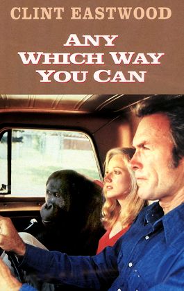 Any Which Way You Can Editorial Stock Photo - Stock Image | Shutterstock