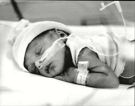 Leon Smale Smale Test Tube Baby Editorial Stock Photo - Stock Image ...