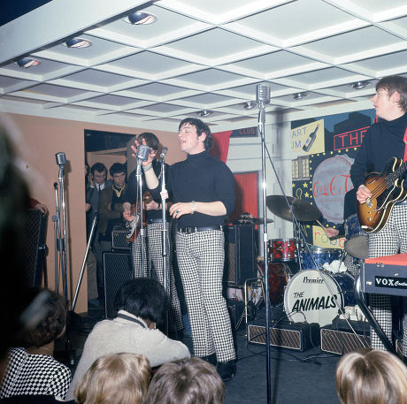 Animals John Steel Dave Rowberry Eric Editorial Stock Photo - Stock ...