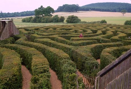Maze Longleat Editorial Stock Photo - Stock Image | Shutterstock