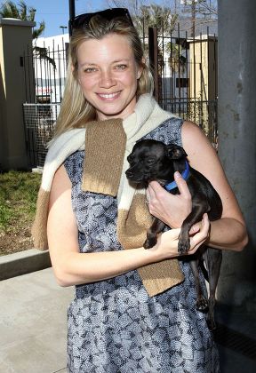 Amy Smart Editorial Stock Photo - Stock Image | Shutterstock