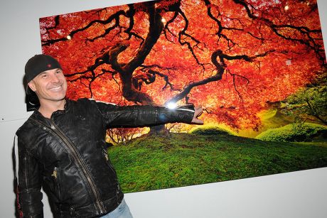 Peter Lik His Tree Life Photograph Editorial Stock Photo - Stock Image ...