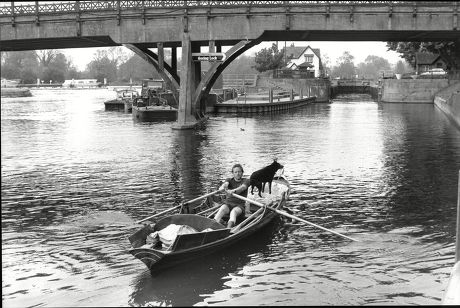 Author Writer Mark Wallington His Dog Editorial Stock Photo - Stock ...