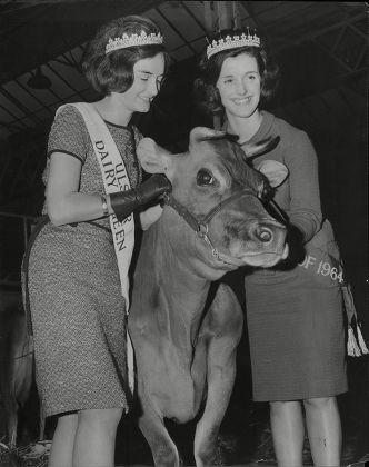 Christine Hewittupton Dairy Queen Anna Donnan Editorial Stock Photo ...