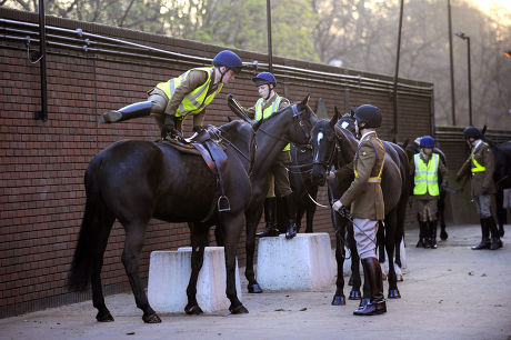 Troopers Mount Their Horses Editorial Stock Photo - Stock Image ...