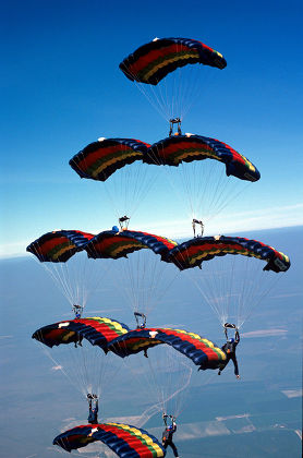 8 Canopy formation Stock Pictures, Editorial Images and Stock Photos ...