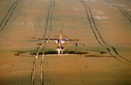 40 Corn circles Stock Pictures, Editorial Images and Stock Photos ...