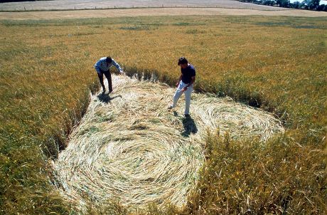 40 Corn circles Stock Pictures, Editorial Images and Stock Photos ...