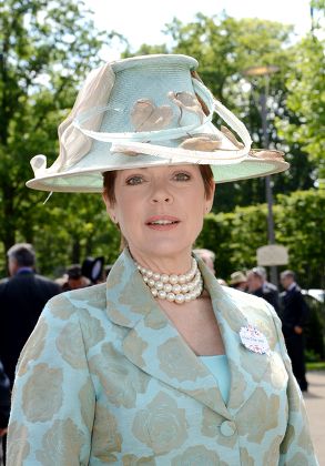 Julie Kerr Editorial Stock Photo - Stock Image | Shutterstock