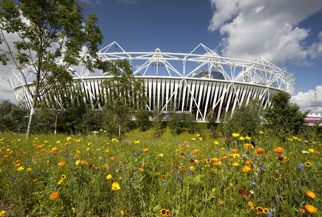 Olympic Stadium Wildflowers London Britain Editorial Stock Photo ...