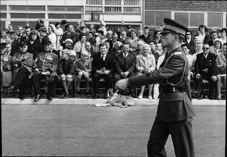Junior Regimental Sergeant Major Tony Wallington Editorial Stock Photo ...