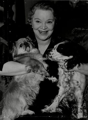 Actress Edith Day Her Dogs Smudge Editorial Stock Photo - Stock Image ...