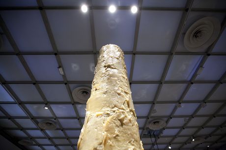 Created Human Body Fat Civilisation Pillar Editorial Stock Photo ...