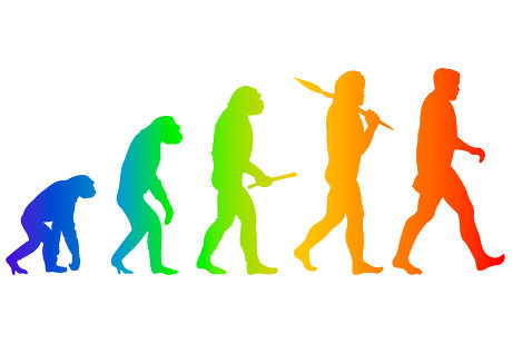 Human Evolution Sequence Symbolic Picture Steps Editorial Stock Photo ...