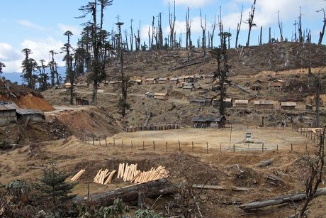 76 India deforestation Stock Pictures, Editorial Images and Stock ...