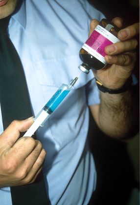 Vet Preparing Lethal Injection American Pit Editorial Stock Photo ...