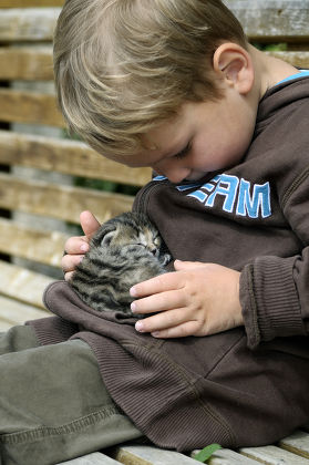 Model Released Boy Holding Kitten His Editorial Stock Photo - Stock ...