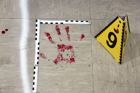 Securing Forensic Evidence Crime Scene After Editorial Stock Photo ...