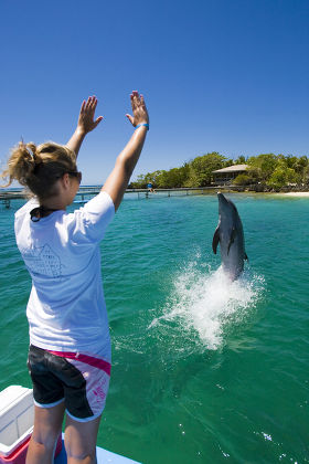 Model Released Dolphin Trainer Training Dolphin Editorial Stock Photo ...