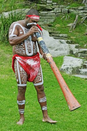Aborigine Playing Instrument During Aboriginal Dance Editorial Stock ...
