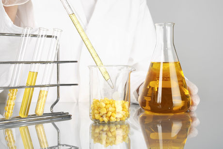 Model Released Analysing Corn Laboratory Editorial Stock Photo - Stock ...