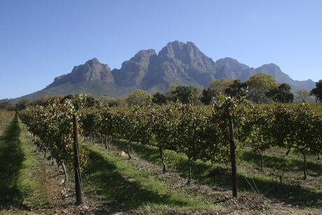 250 Grapevine mountains Stock Pictures, Editorial Images and Stock ...
