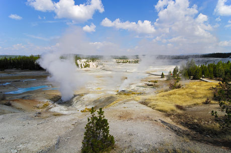 Steaming Geysers Norris Geyser Basin Yellowstone Editorial Stock Photo ...