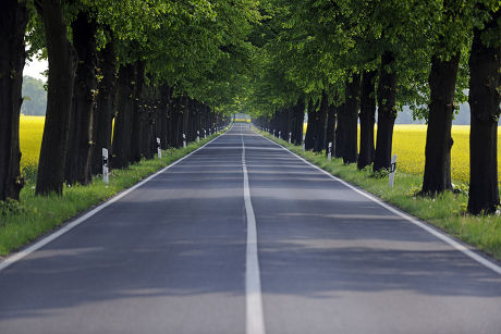 53 Lime alley Stock Pictures, Editorial Images and Stock Photos ...