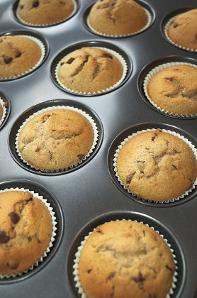 250 Feeding cake Stock Pictures, Editorial Images and Stock Photos ...