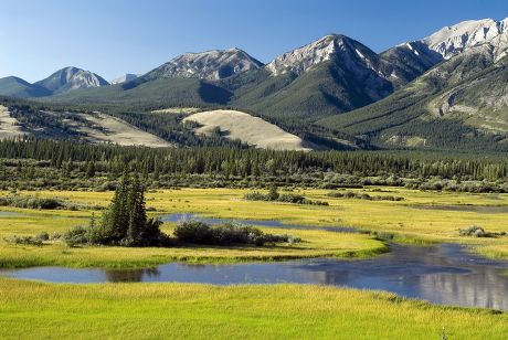 250 Montane meadow Stock Pictures, Editorial Images and Stock Photos ...