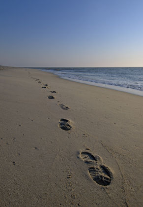 Trails Sand Western Beach Sylt Schleswigholstein Editorial Stock Photo ...