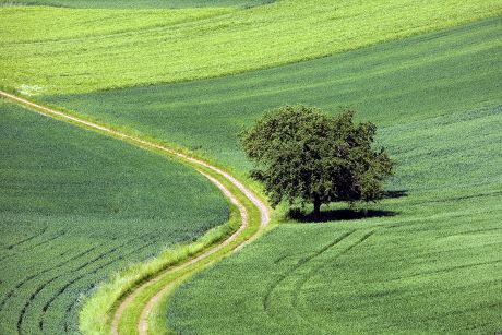 750 Dirt pathway Stock Pictures, Editorial Images and Stock Photos ...