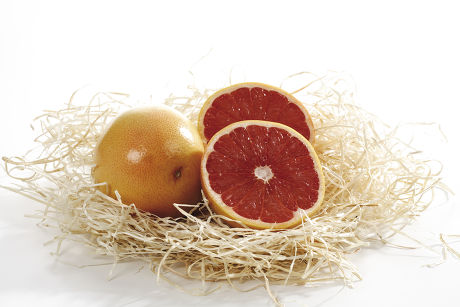 Grapefruit Ruby Wood Shavings Editorial Stock Photo - Stock Image ...