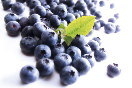 250 Blaeberries Stock Pictures, Editorial Images and Stock Photos ...