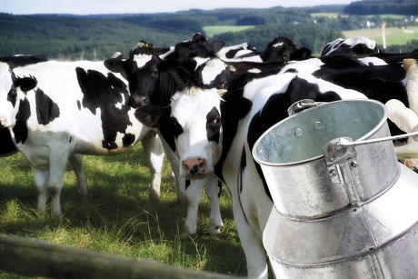 250 Milk churn Stock Pictures, Editorial Images and Stock Photos ...