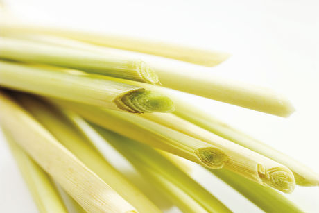 1 Lemongras Stock Pictures, Editorial Images and Stock Photos ...