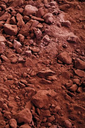 Cocoa Powder Full Format Editorial Stock Photo - Stock Image | Shutterstock