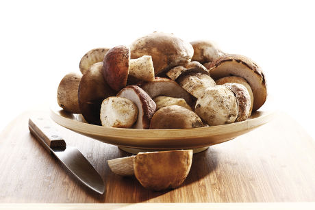 90 Ceps Stock Pictures, Editorial Images and Stock Photos | Shutterstock