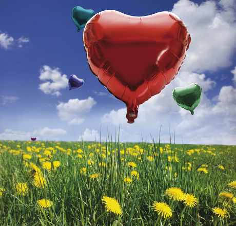 20 Helium plant Stock Pictures, Editorial Images and Stock Photos ...