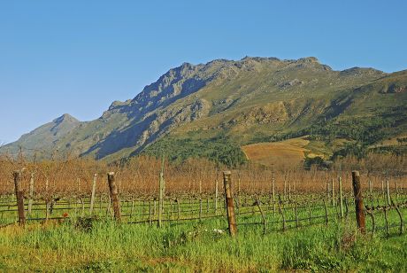 250 Grapevine mountains Stock Pictures, Editorial Images and Stock ...