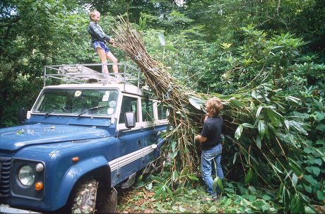 19 Rover scouts Stock Pictures, Editorial Images and Stock Photos ...