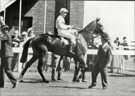Jockey Scobie Breasley On Racehorse Talks Editorial Stock Photo - Stock ...