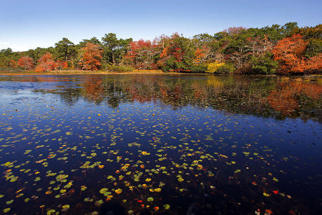Changing Colours Leaves Fall Autumn Comes Editorial Stock Photo - Stock ...