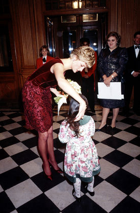 Lady Rothermere Princess Diana Editorial Stock Photo - Stock Image ...