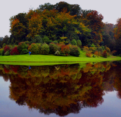 Spectacular Autumn Scene Leaves All Colours Editorial Stock Photo ...