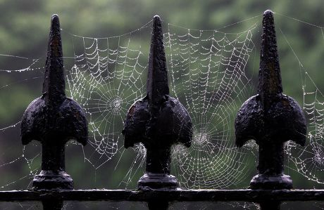 Spiders Webs Hang Iron Railing Fence Editorial Stock Photo - Stock ...