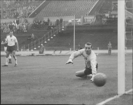 Footballer Goalkeeper Ron Springett Action England Editorial Stock ...