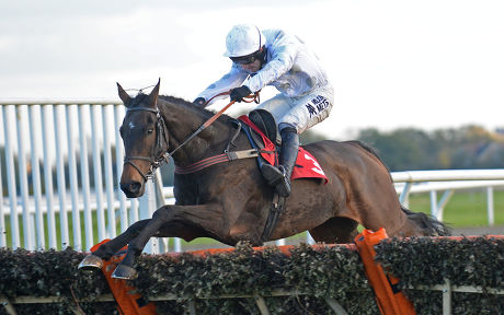 Neil King Trainer Keyersberg After Winning Editorial Stock Photo ...