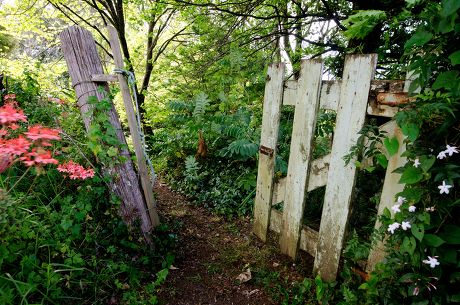 Old Gate Overgrown Garden Path Editorial Stock Photo - Stock Image ...