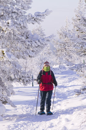 93 Lapland woman Stock Pictures, Editorial Images and Stock Photos ...